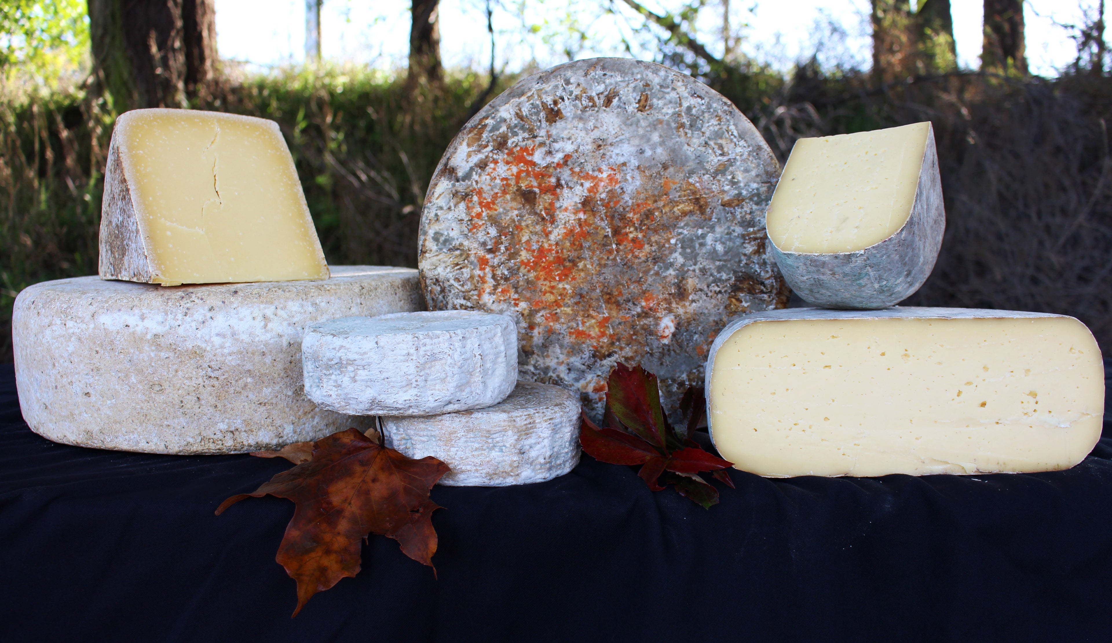 The Cheese People Of Grand Rapids – The Cheese People of Grand Rapids