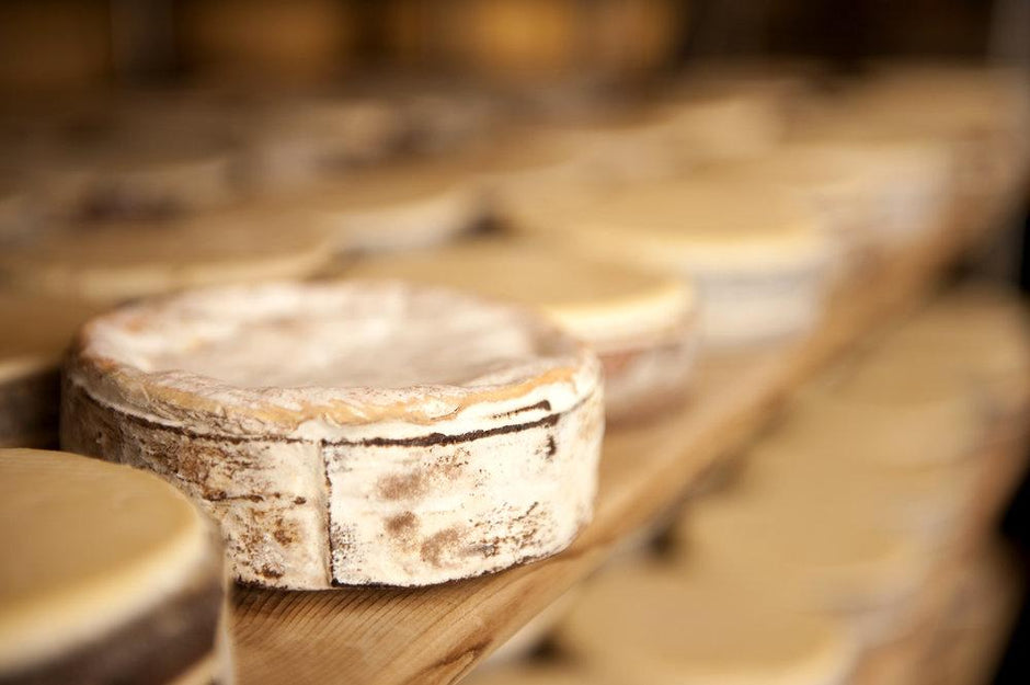 The Cheese Shop – The Cheese People of Grand Rapids